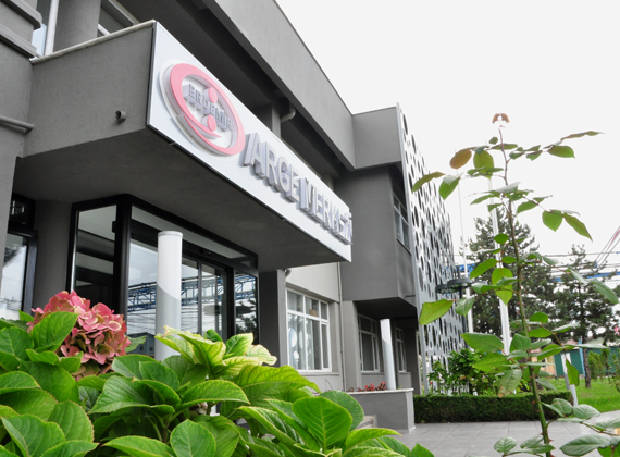 Tarihçe — Erdemir